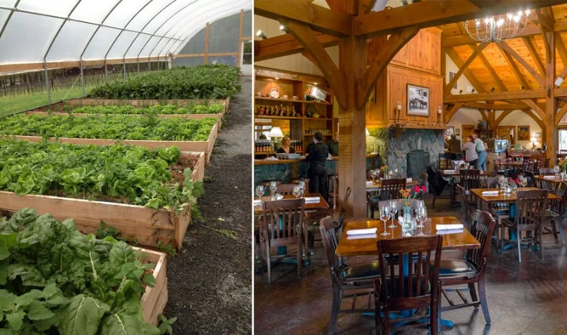 Best Farm-to-Table Restaurants Near Me: Taste Local, Seasonal ...